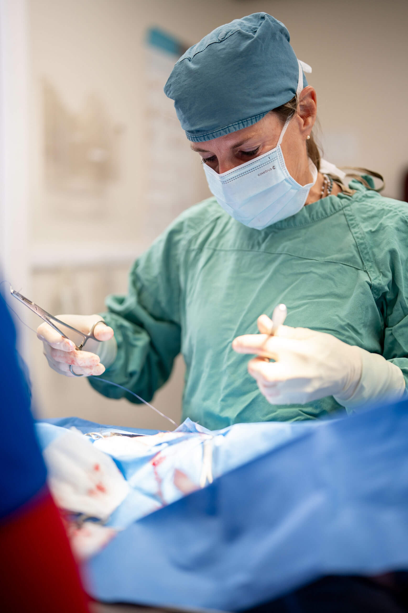 Soft Tissue Surgery - Animal Medical Center of Brooksville